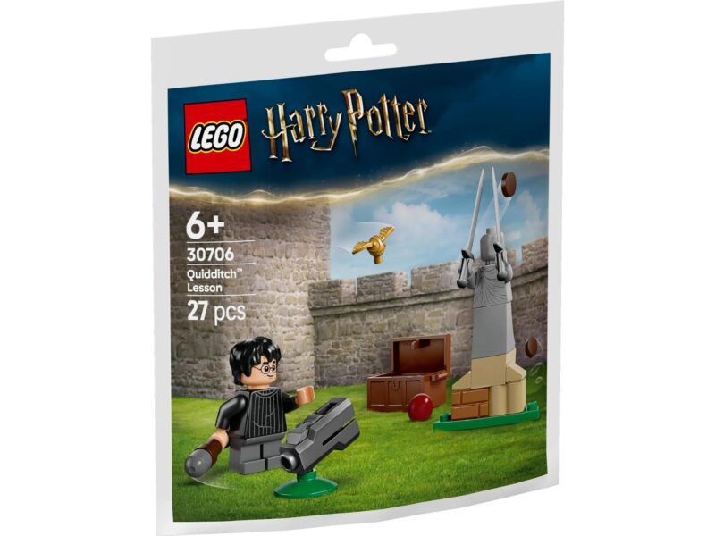 LEGO Harry Potter Zwerkbal les polybag - 30706 - Blokkenpiloot